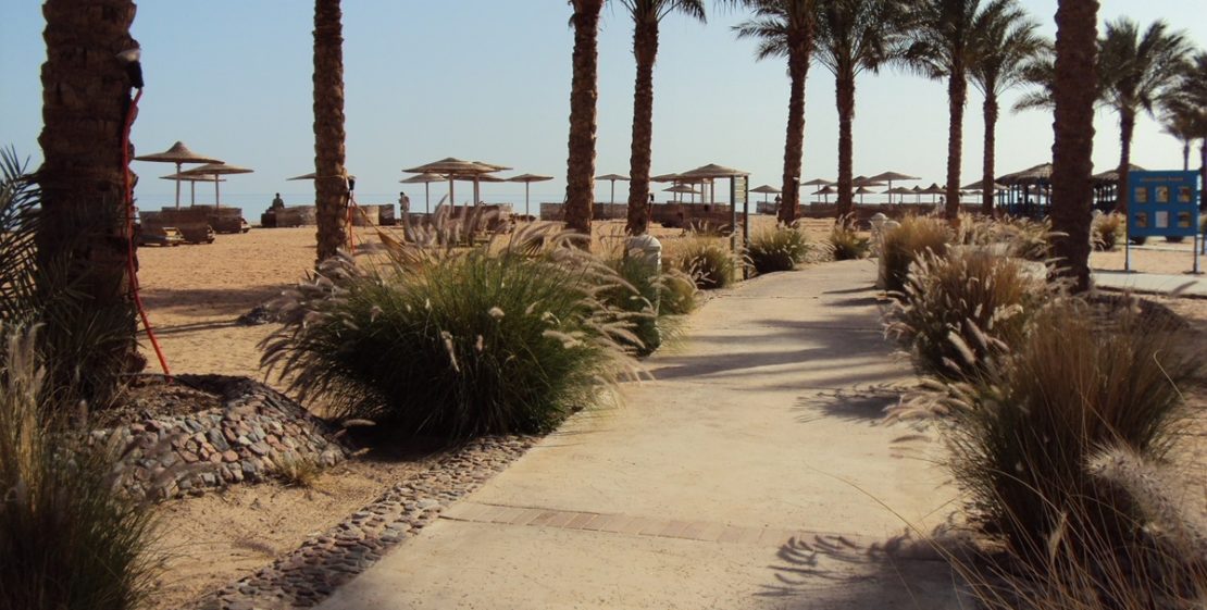 12 cose da fare e vedere a Sharm el-Sheikh e 3 da non fare - Cosa Farei